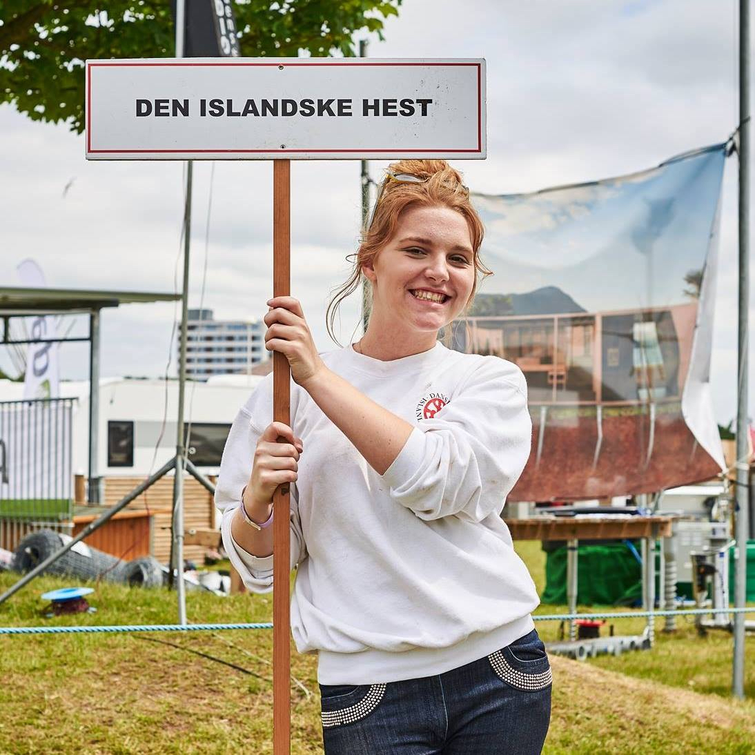 Islandske heste ved landets største dyrskuer i 2025 - Dansk ...