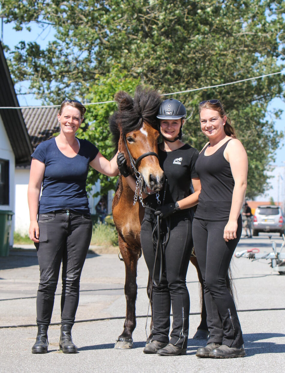 Meget god tilslutning til årets 2. Kåring - Dansk Islandshesteforening