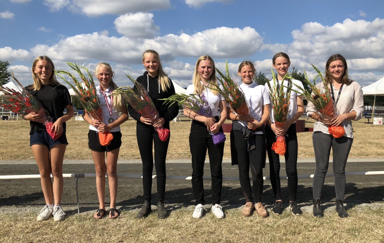 Det danske landshold 2018 - nu i foto - Dansk Islandshesteforening