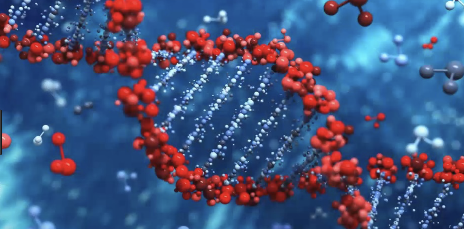 Procedure for udtagning af DNA - Dansk Islandshesteforening