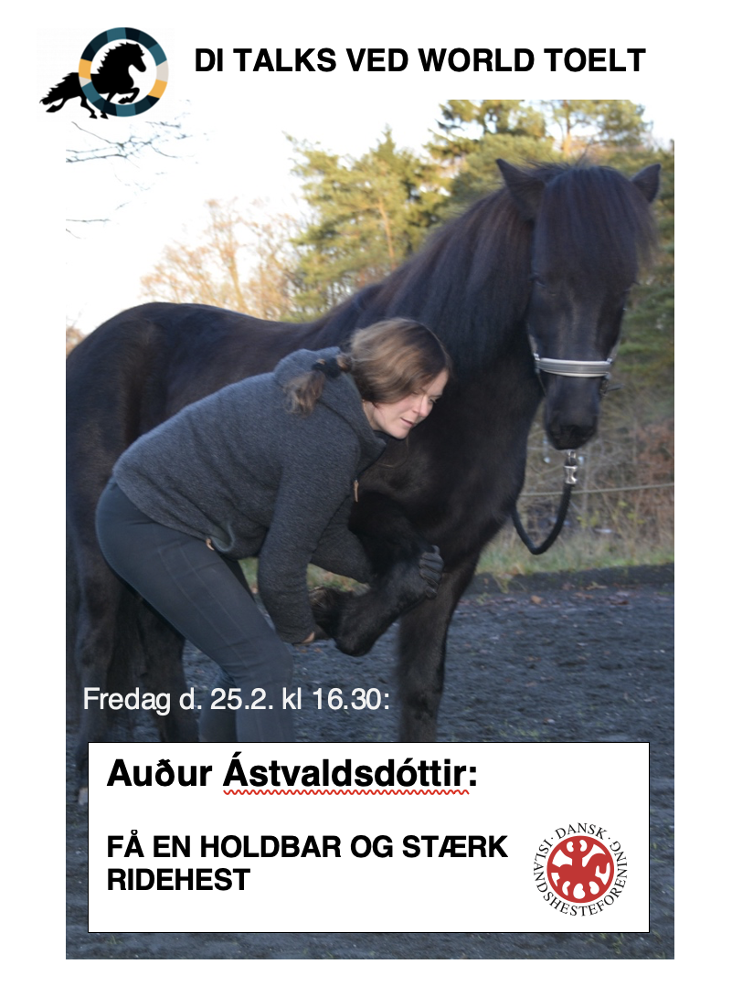 MØD DI og oplev DI TALKS ved WORLD TOELT - Dansk Islandshesteforening