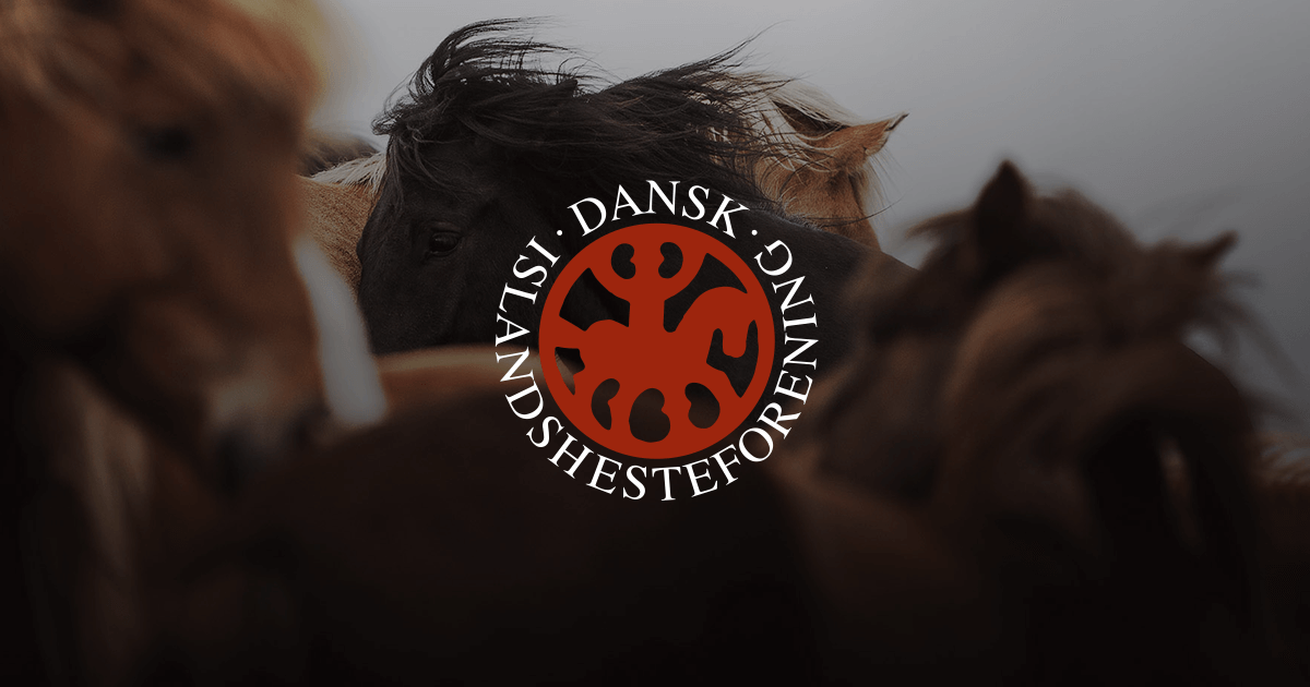 Dansk Islandshesteforening Logo Association Danoise Du Cheval